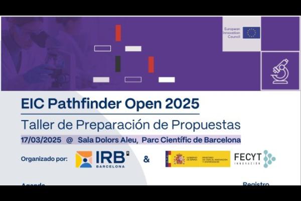 Ya está disponible el Template de EIC Pathfinder OPEN anotado por los NCPs de EIC | Horizonte Europa
